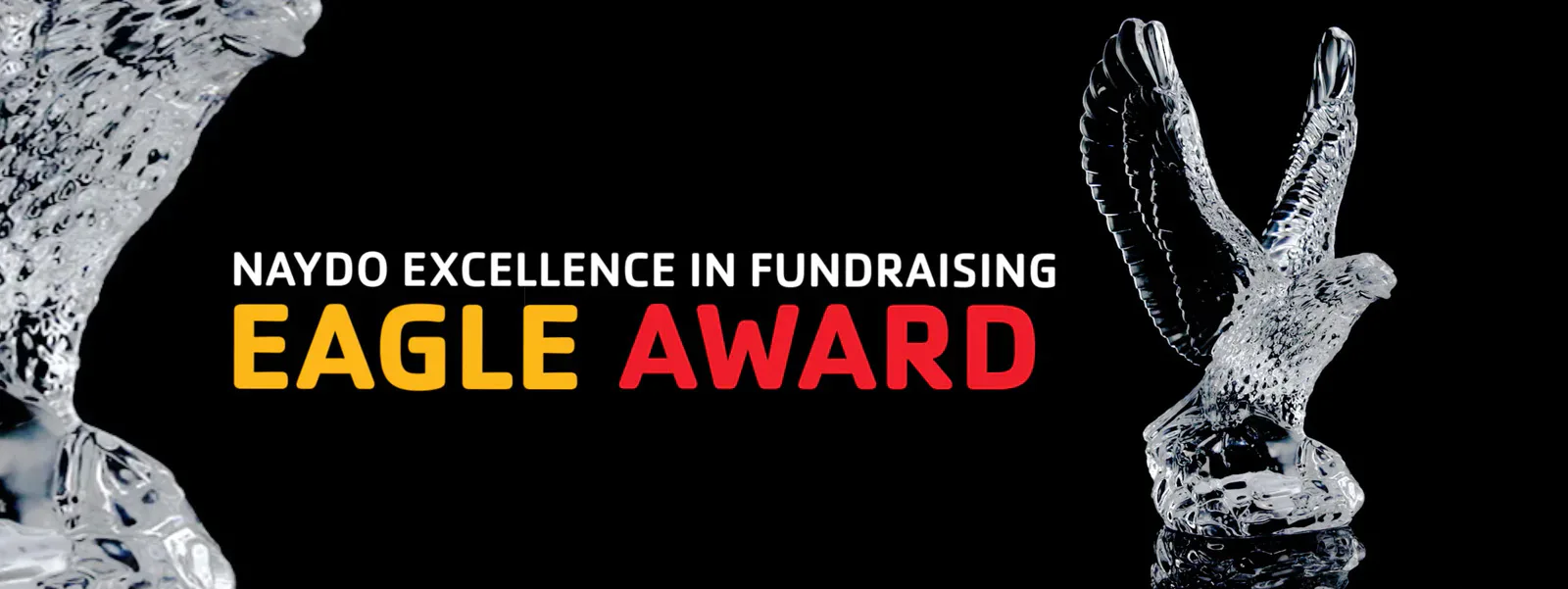 YMCA Eagle Award: Celebrate Fundraising Excellence